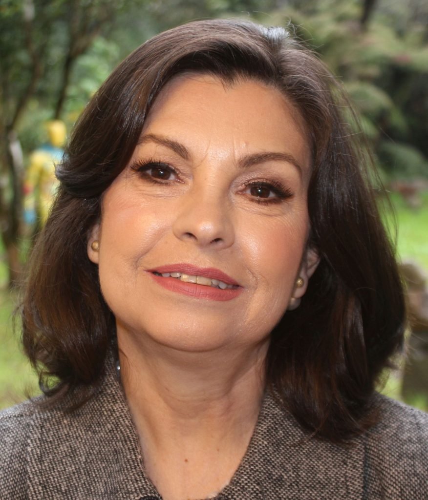 Um panorama das artes visuais, em pequeno formato, de várias regiões do ...