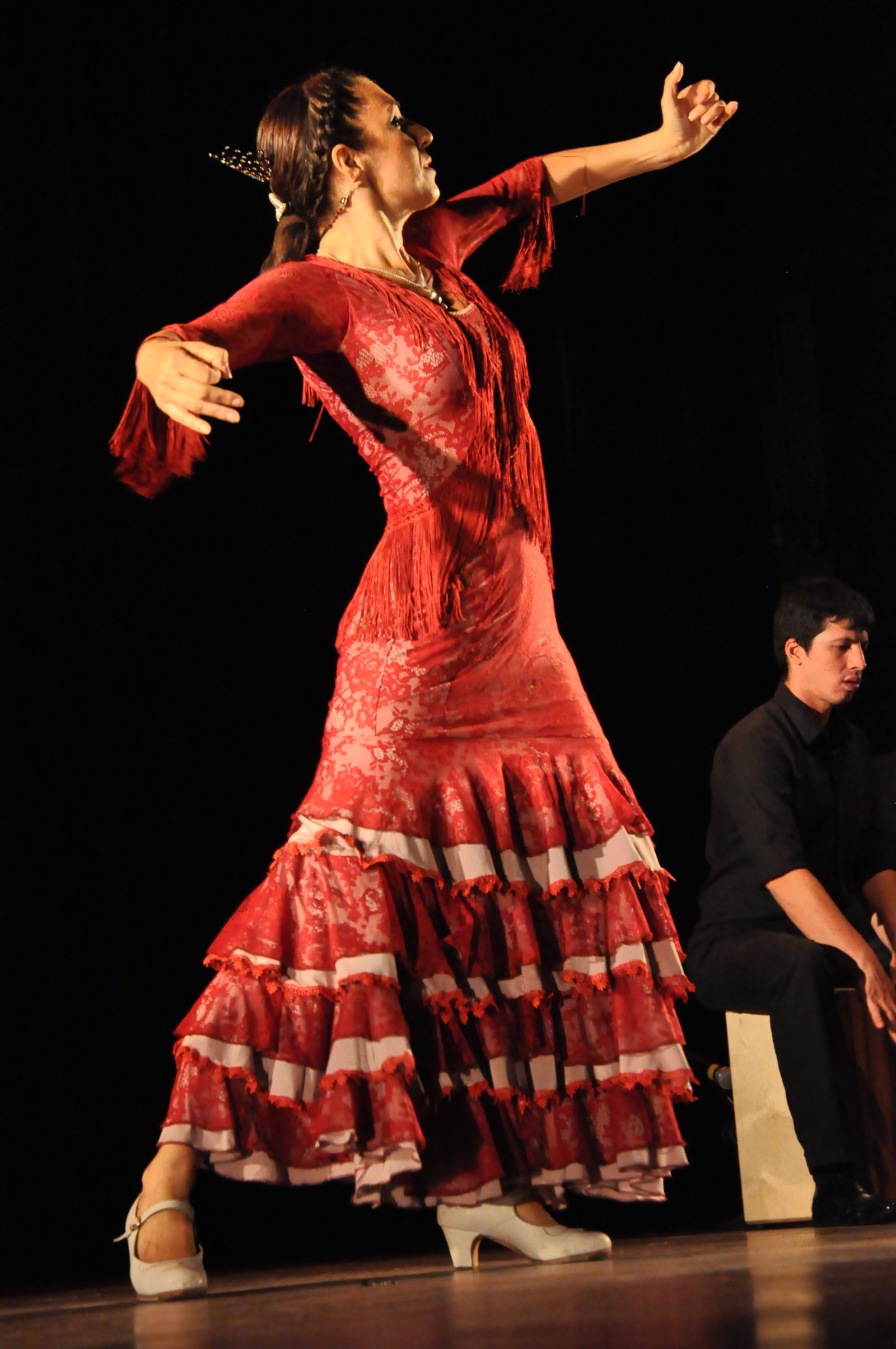 Mergulho no universo da Arte Flamenca com oficinas, shows e gastronomia ...
