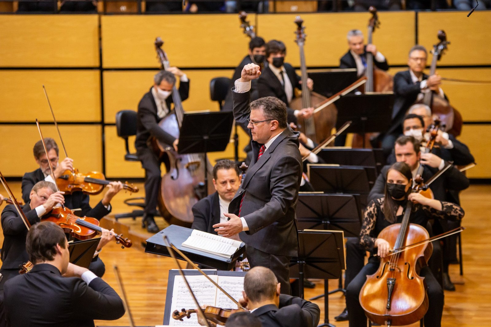 Emmanuele Baldini é regente e solista em concerto da OSPA, com obras de ...